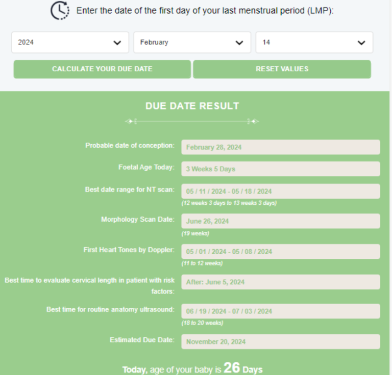 Pregnancy Calculator - Due Date Calculator – BizCalcs.com