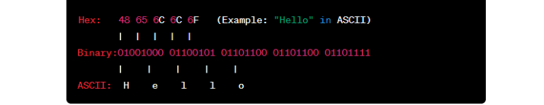 Hex To Text Calculator – BizCalcs.com