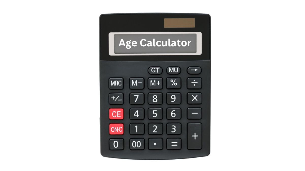 Age Calculator – BizCalcs