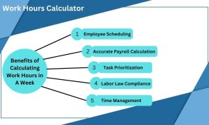 How Many Work Hours In A Week – BizCalcs